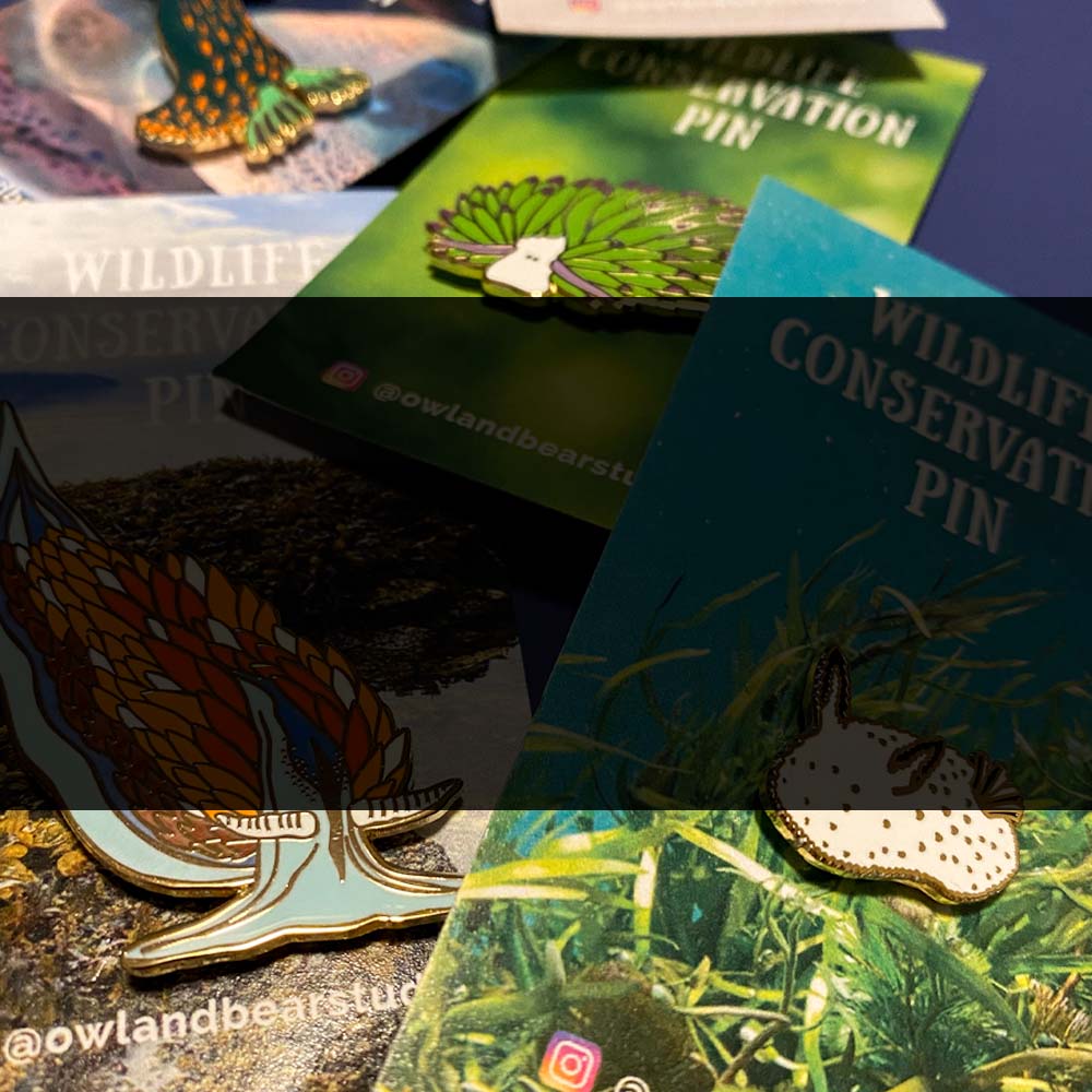 Conservation Pins – I LOVE NUDIS