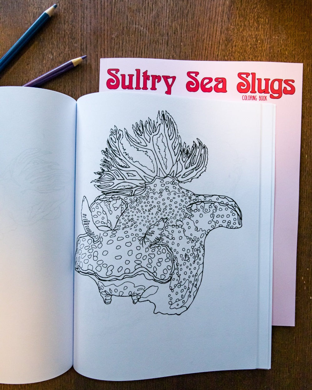 sea slug coloring book