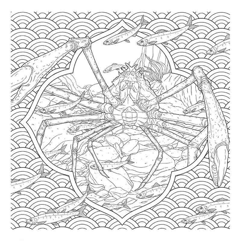 shallow spaceships coloring pages
