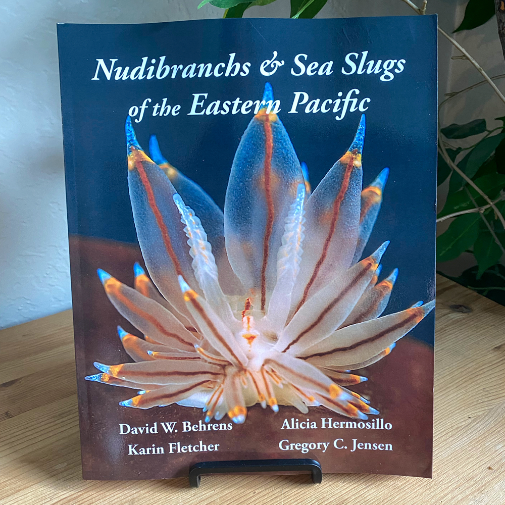 Nudibranchs & Sea Slugs of the Eastern Pacific – I LOVE NUDIS