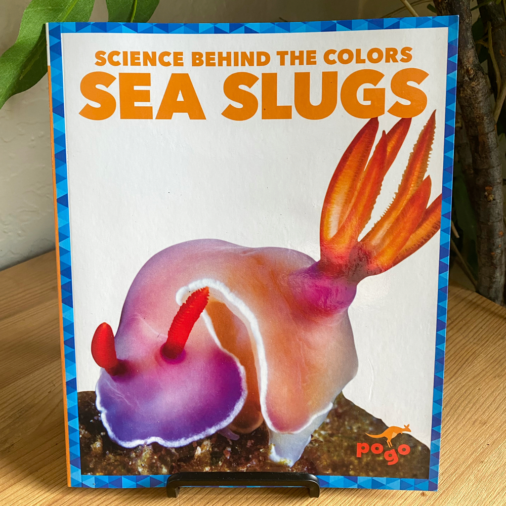 sea slug coloring book